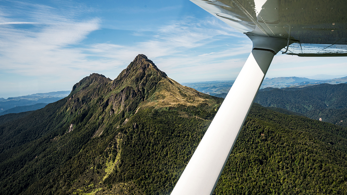 Air Ruatoria – Kalega!